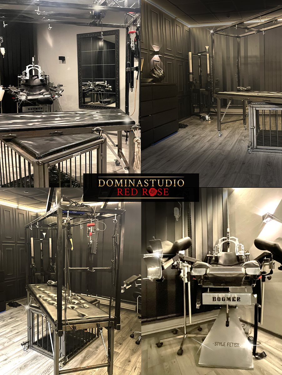 Bilder vom Studio Red Rose - Lady GingerLady Ginger